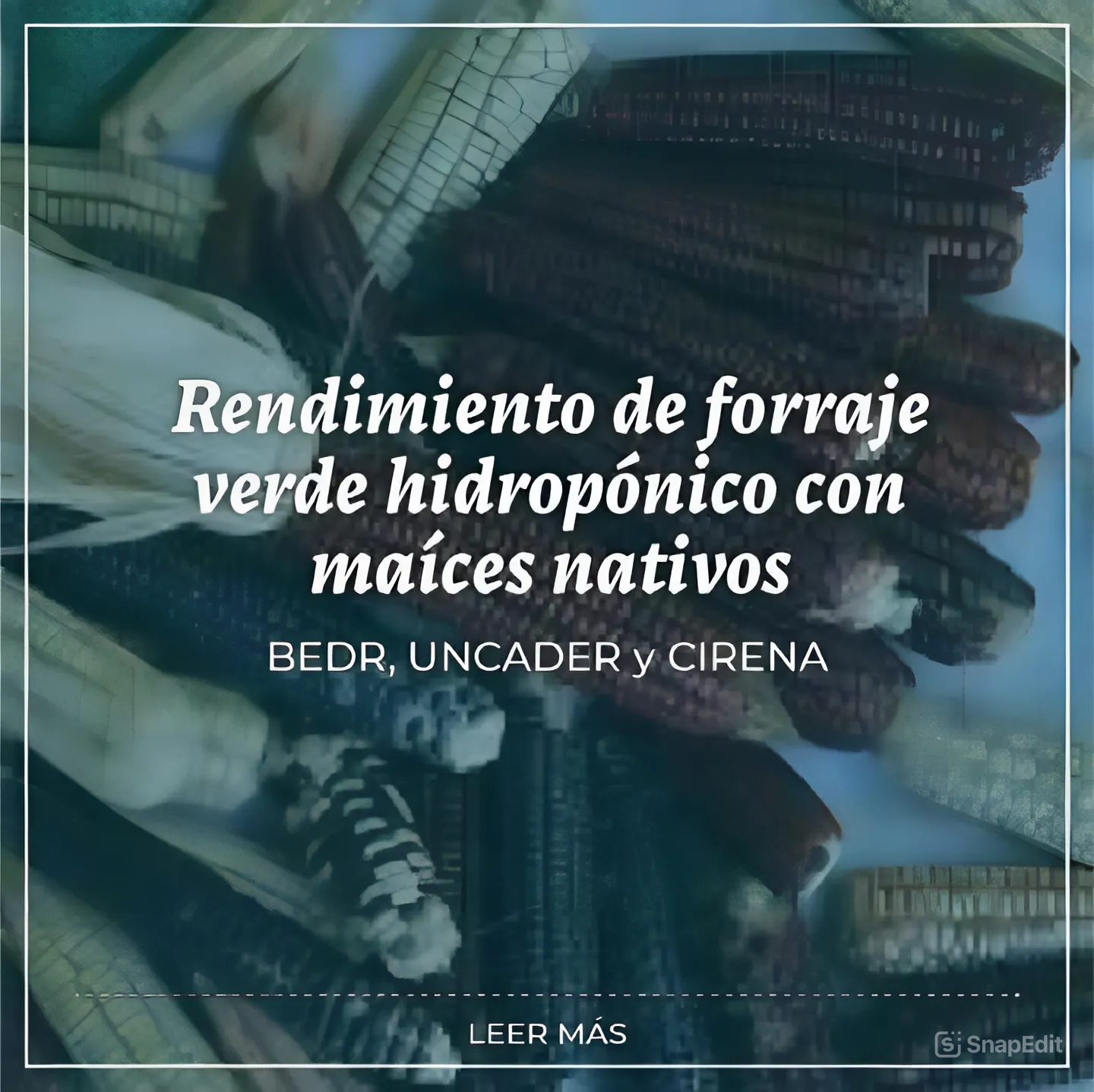 CBTA |Centro de Bachillerato Tecnológico Agropecuario